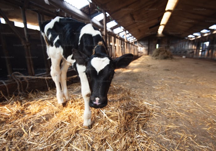 Producent av transportutrustning till jordbruk och industri ...